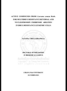 Chiang Mai University Digital Collections